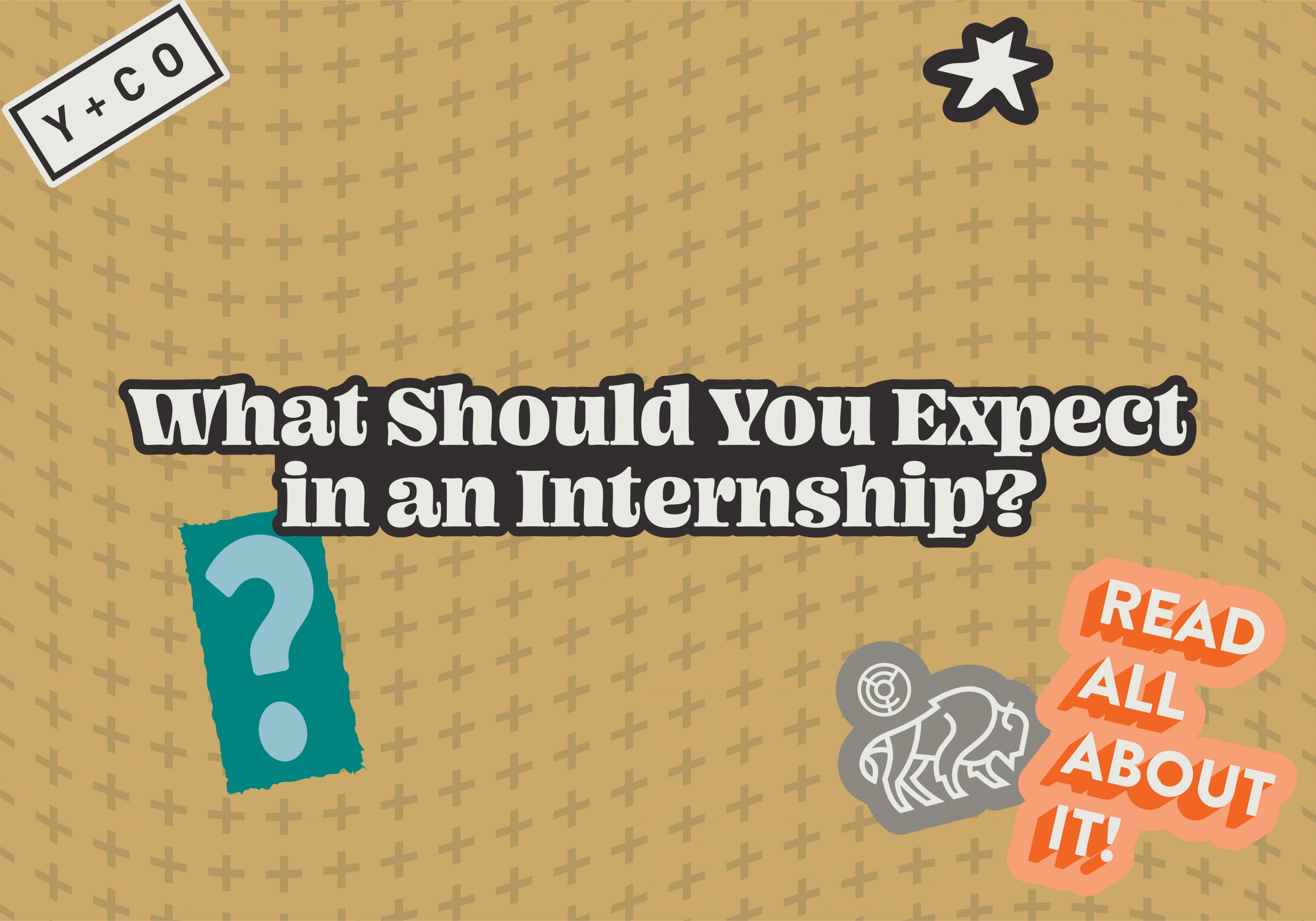 What Should You Expect In An Internship Yonts Co What Should You Expect In An Internship Yonts Co